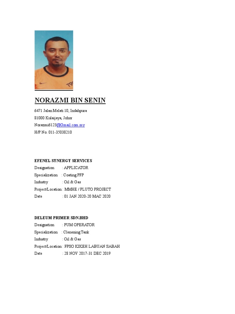 Norazmi Bin Senin: Efenel Synergy Services | Download Free PDF | Malaysia | Nature