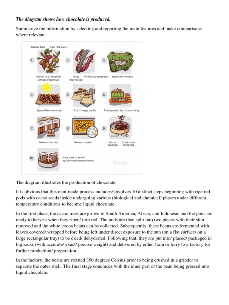 The Diagram Shows How Chocolate Is Produced | PDF | Cocoa Bean | Chocolate