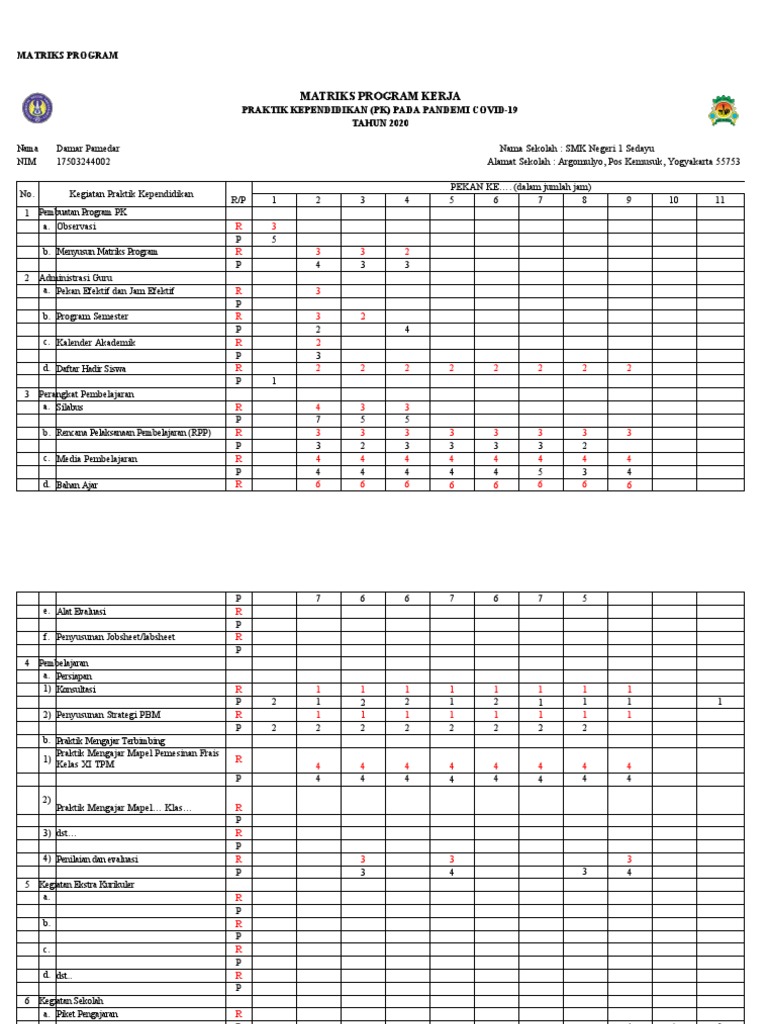 MATRIKS PROGRAM PK 2020 - Damar (Terisi) | PDF