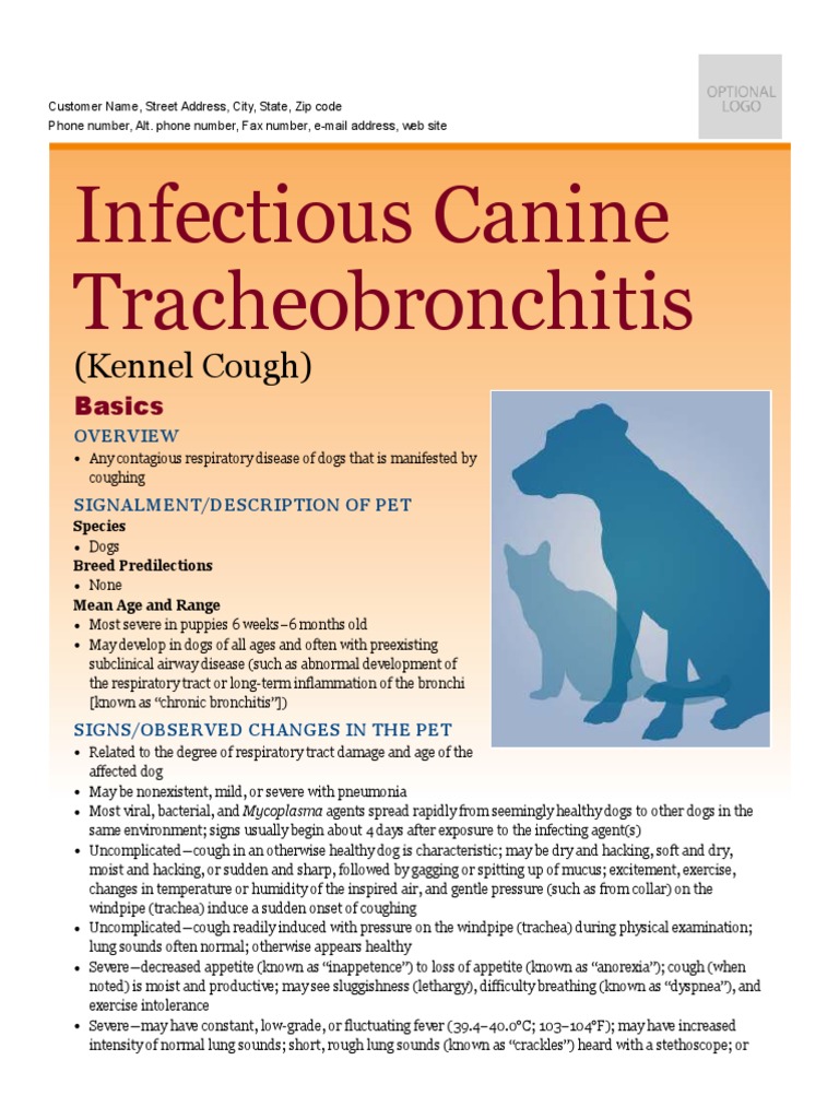 Infectious Canine Tracheobronchitis: (Kennel Cough) | PDF | Pneumonia ...