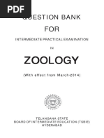 Botany Practical Record 2024 | PDF | Botany | Plant Stem