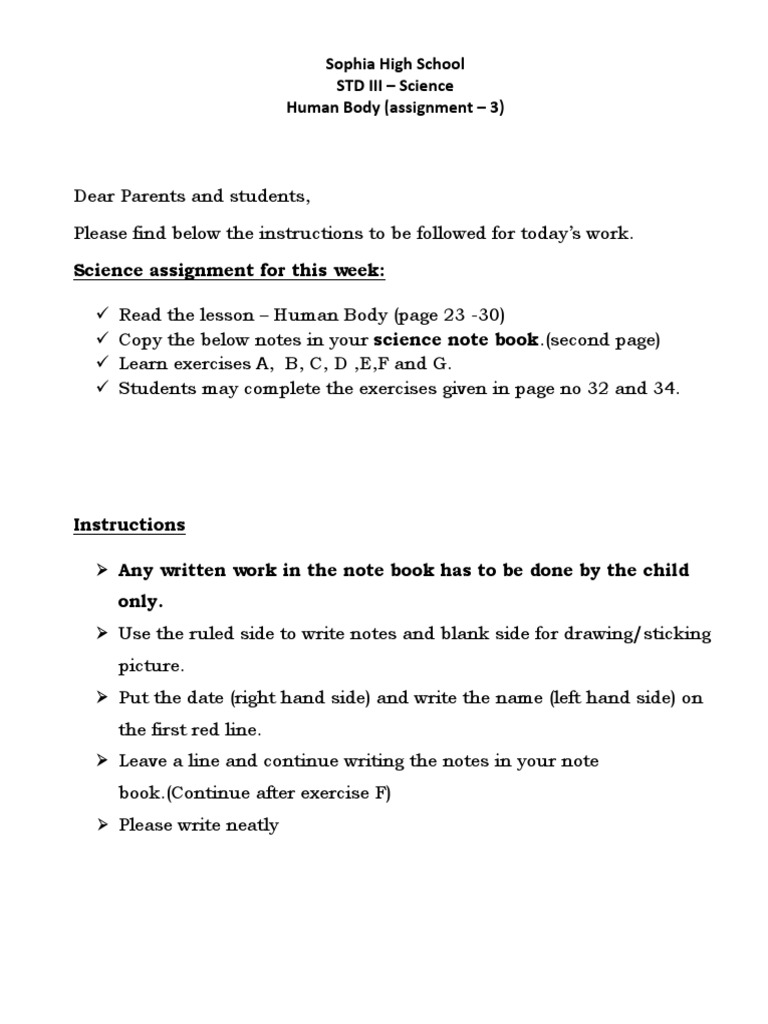 Sophia High School STD III - Science Human Body (Assignment - 3) | PDF ...