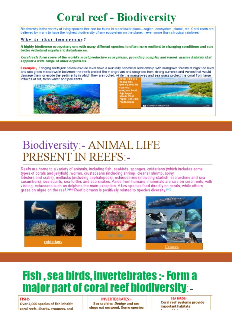 Coral Reef - Biodiversity | PDF | Coral Reef | Sea