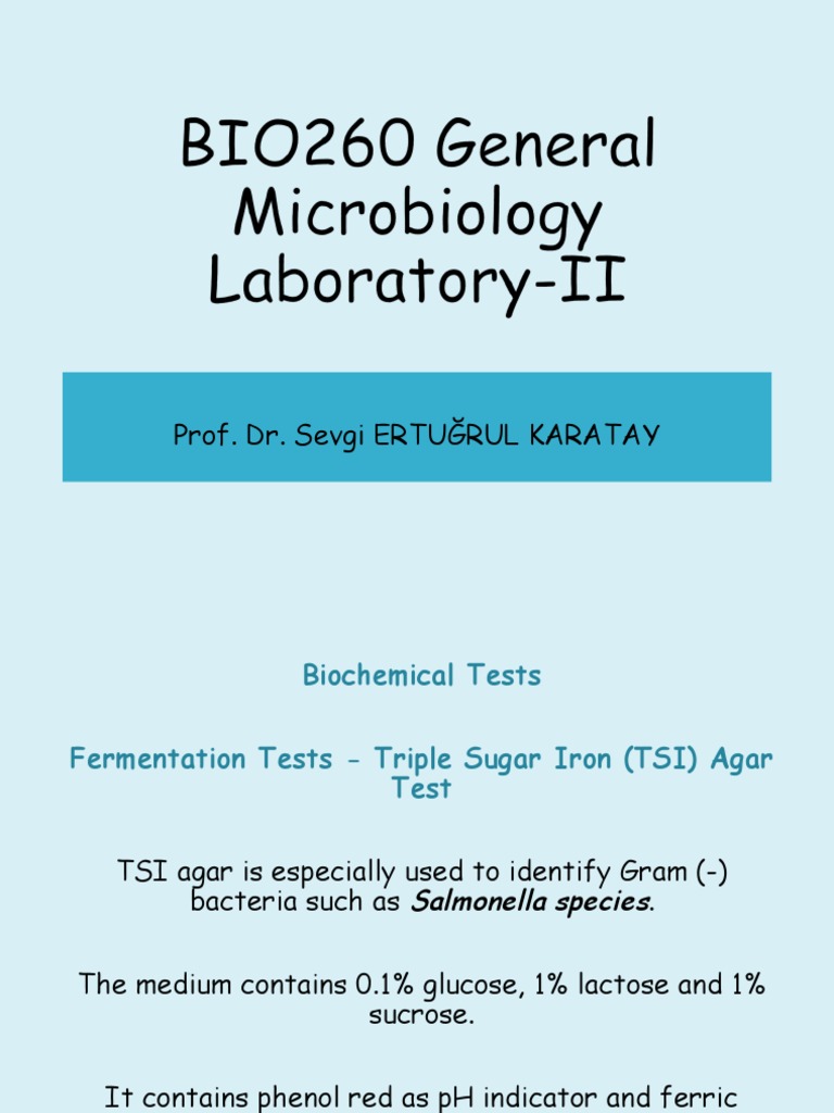 TSI Agar Test for Bacterial Identification | PDF | Science & Mathematics