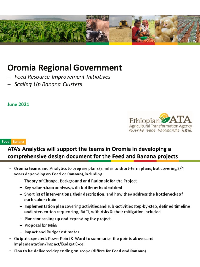 Oromia Regional Government - Phase II Expectations and Workplan | PDF ...