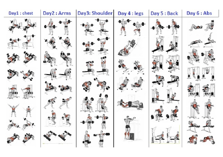 6 Days Gym Schedule | PDF