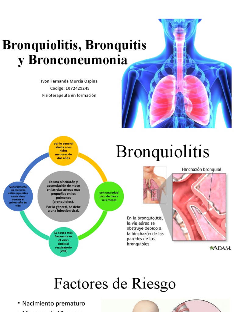 Bronquiolitis, Bronquitis y Bronconeumonia | PDF | Tos | Enfermedades ...