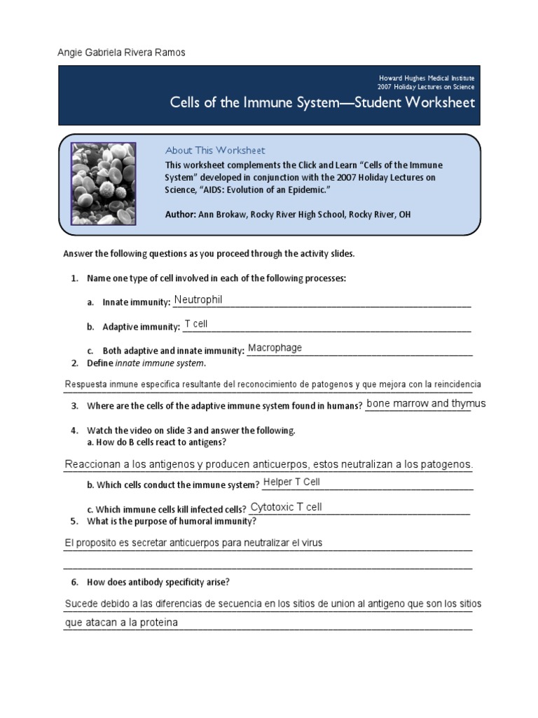 Cells Immune System Click Learn Worksheet | PDF | Cytotoxic T Cell ...