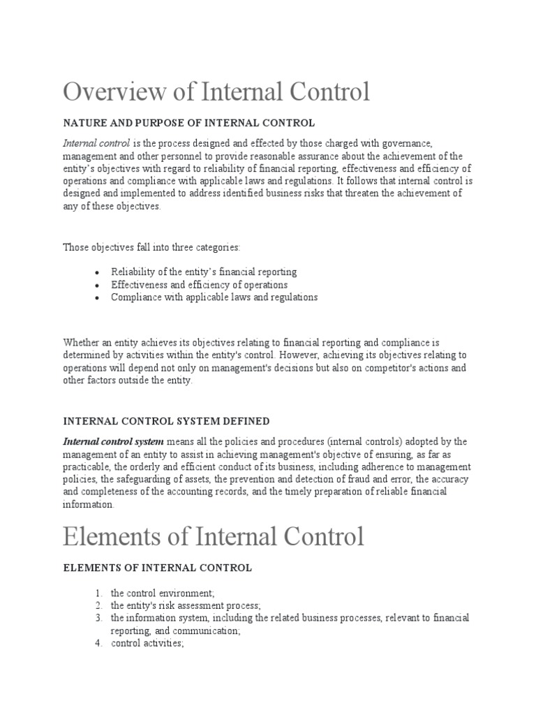 Nature and Purpose of Internal Control | PDF | Internal Control | Business