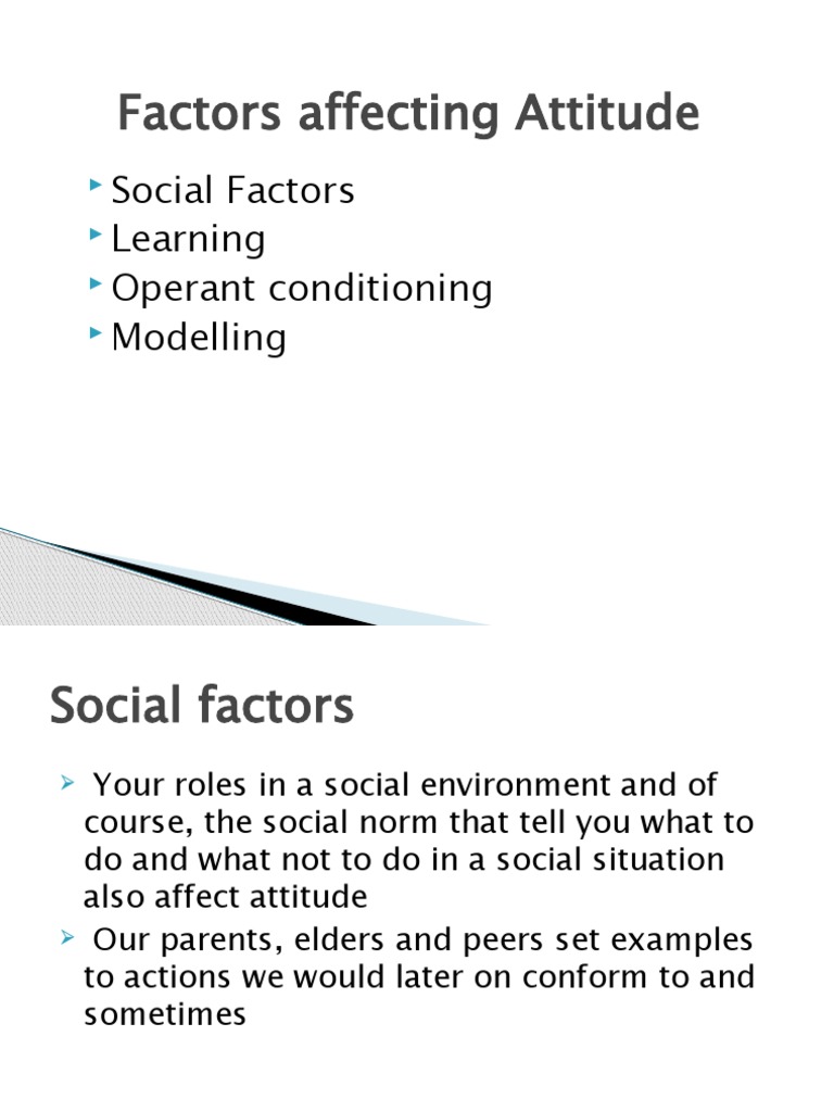 Lesson 3 Factors Affecting Attitude | PDF