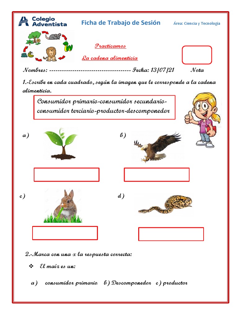 Hojas De Trabajo Sobre La Cadena Alimentaria Y La Red Alimentaria ...