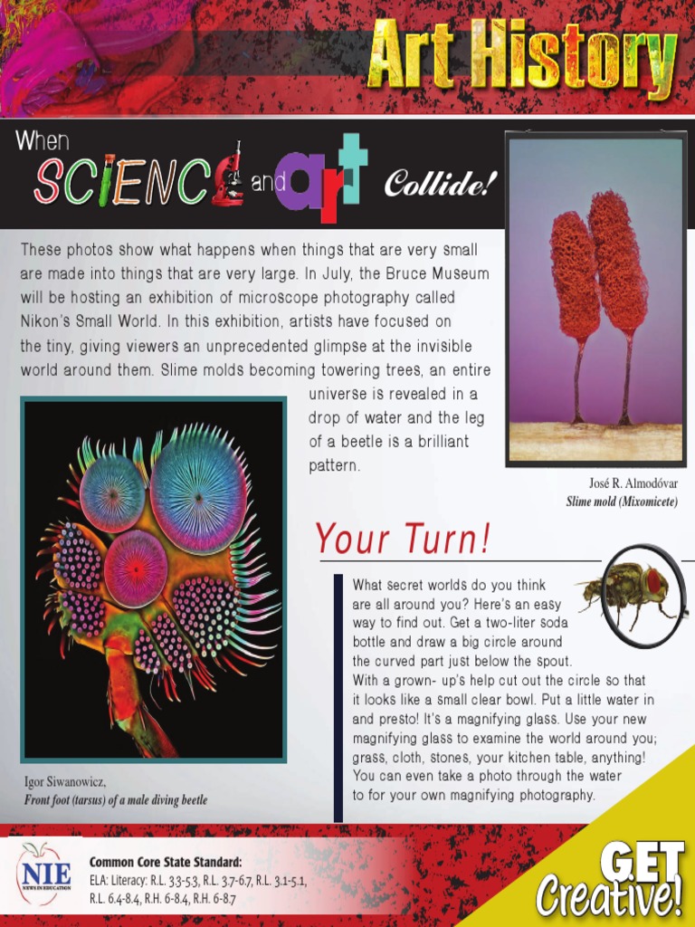 Science Art | Download Free PDF | Nature