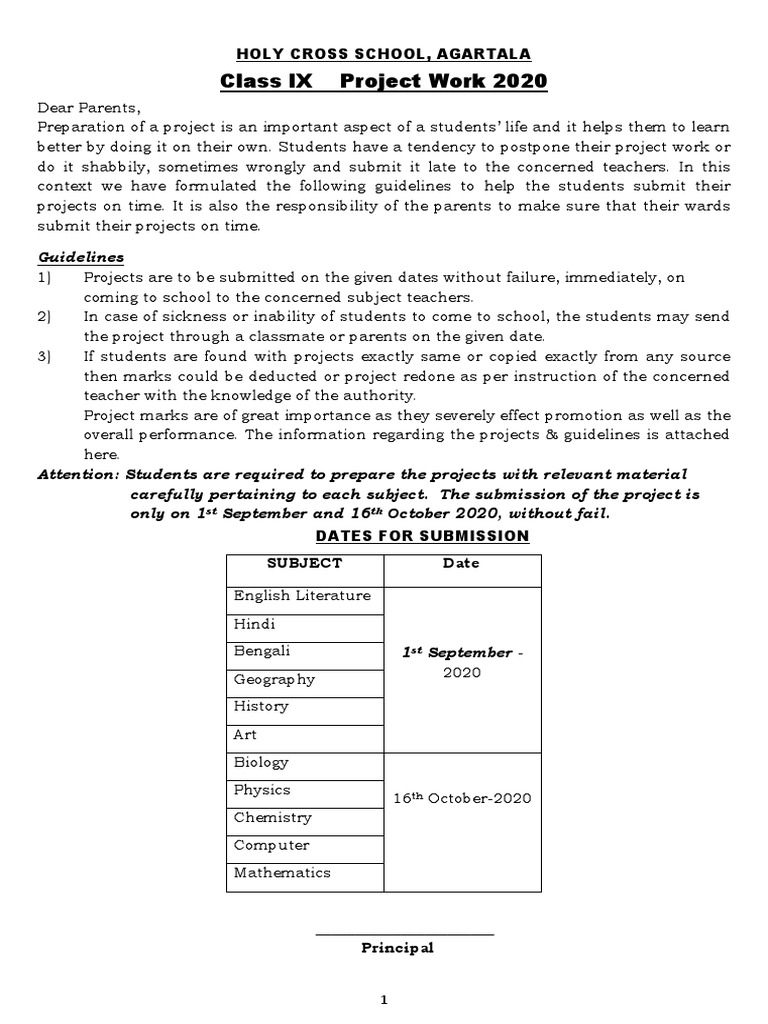 Class IX Project Work 2020: Holy Cross School, Agartala | PDF ...
