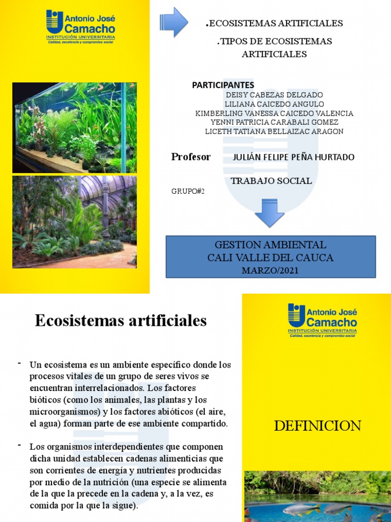 Ecosistemas Artificiales | PDF | Ecosistema | Ecología