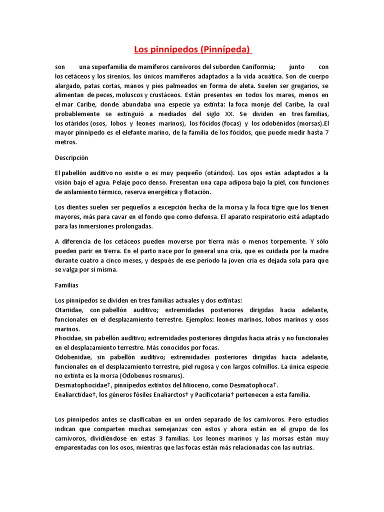 La descripción de los pinnípedos: características y familias de estos ...