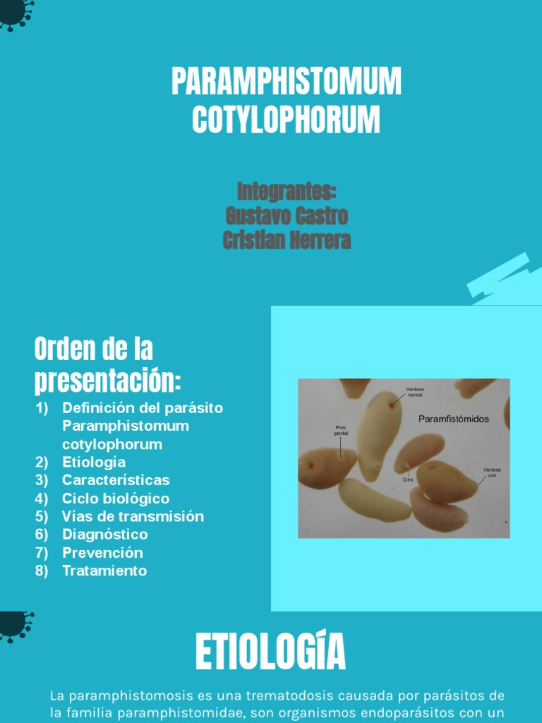 Paramphistomum Cotylophorum | PDF