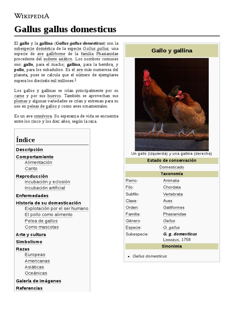 Gallus Gallus Domesticus | PDF | Carne | Zoología