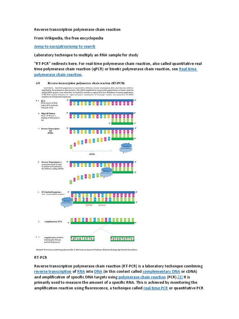 RT-PCR-Reverse Transcription Polymerase Chain Reaction | PDF | Reverse ...