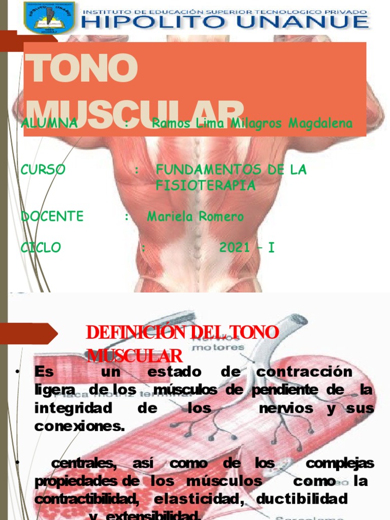 Definición y Evaluación del Tono Muscular | PDF | Músculo | Pie