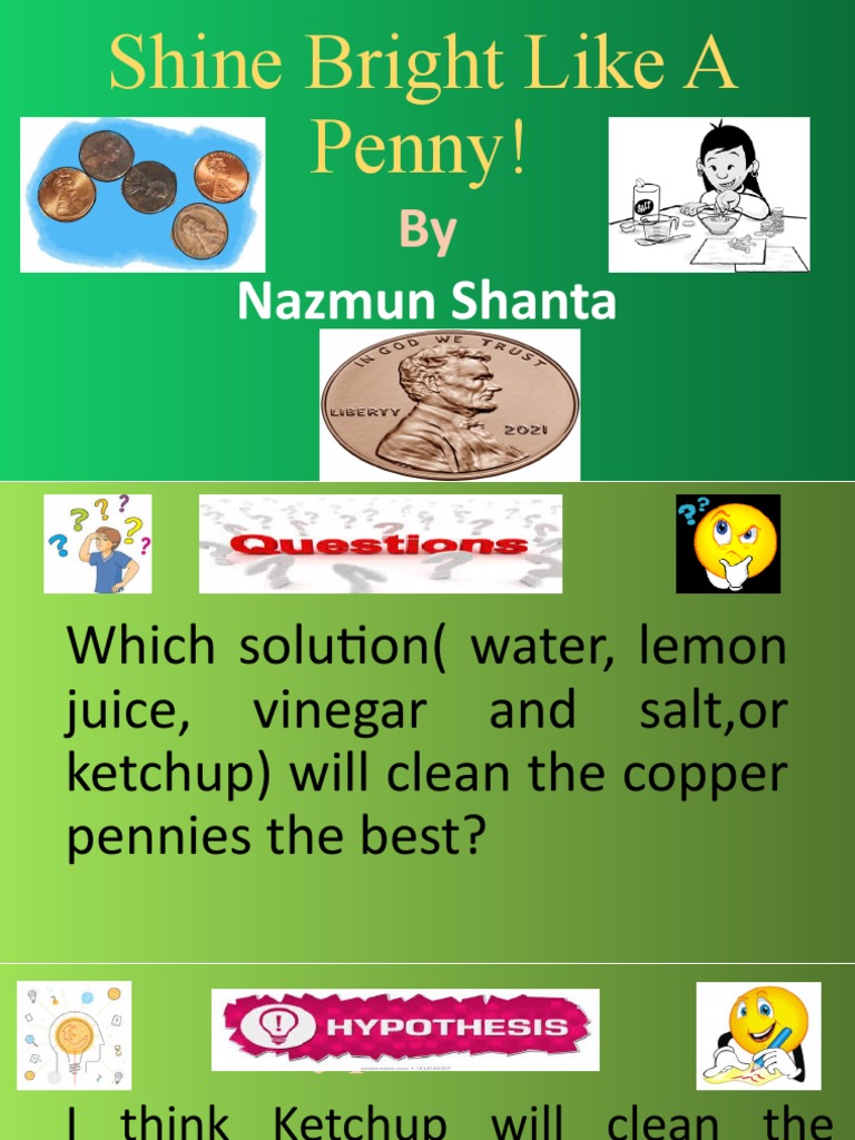 Science Fair Project | Download Free PDF | Ketchup | Vinegar