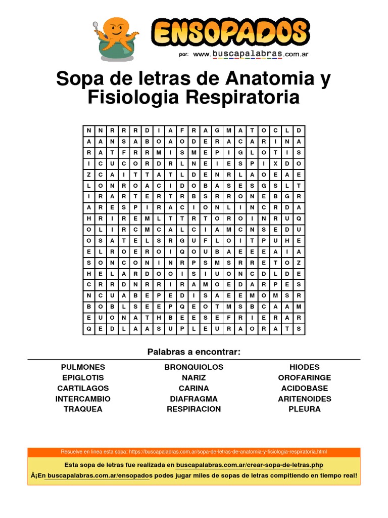 Sopa de Letras Anatomia y Fisiologia Respiratoria | PDF | Pulmón ...