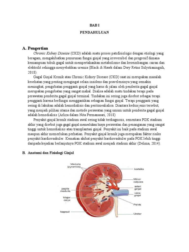 Askep CKD | PDF