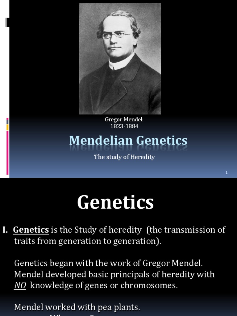 Handout - Mendelian Genetics | PDF | Dominance (Genetics) | Zygosity
