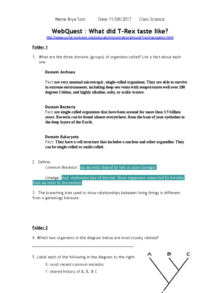 Arya Soni T Rex Webquest | PDF