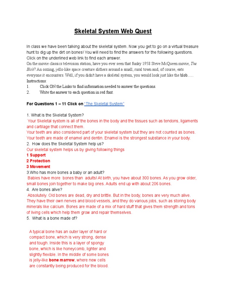 Skeletal System Web Quest - Arya Soni | PDF | Skeleton | Bone