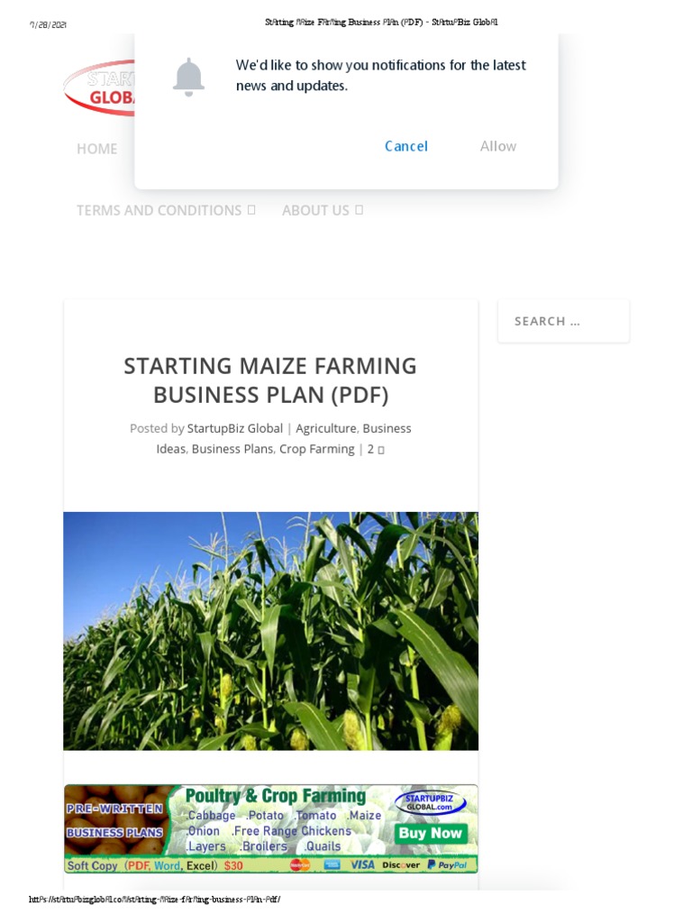 Starting Maize Farming Business Plan (PDF) - StartupBiz Global | PDF