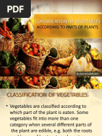 14 Basic Cuts of Vegetables With Sizes | PDF | Cookware And Bakeware | Home