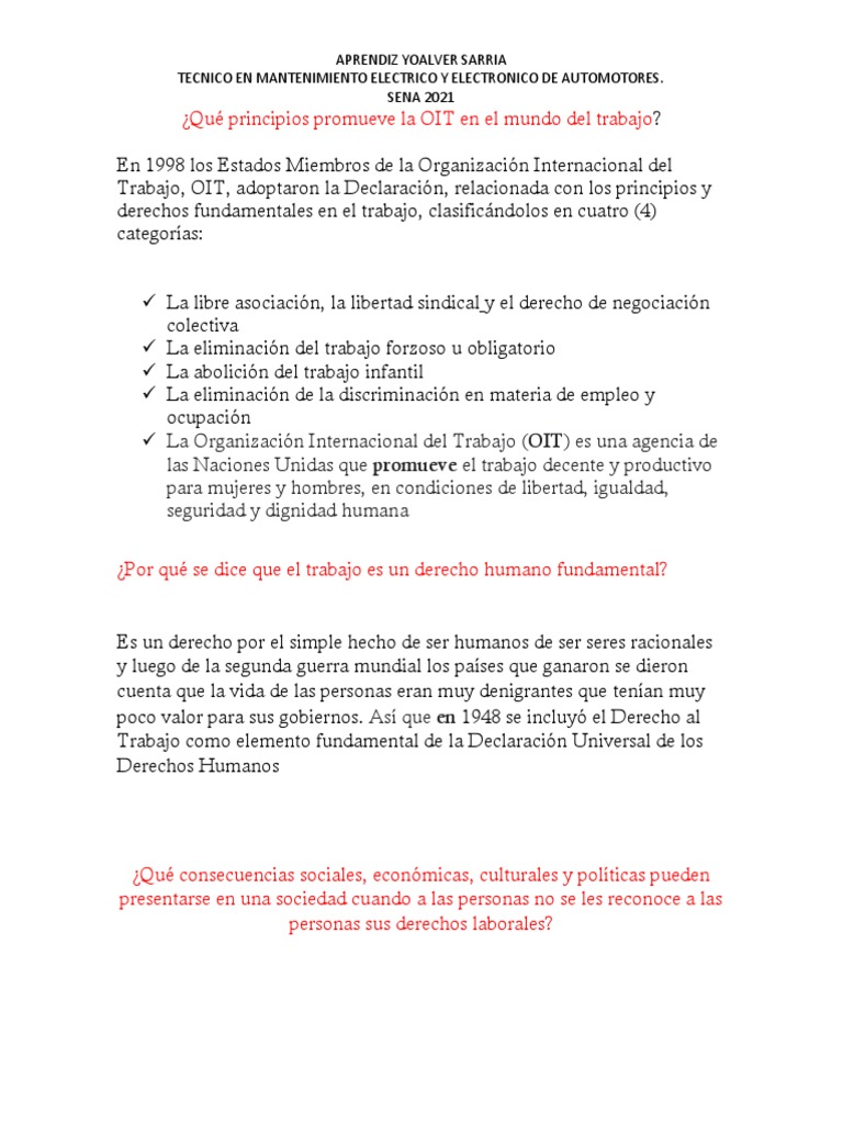 Qué Principios Promueve La OIT en El Mundo Del Trabajo | PDF ...