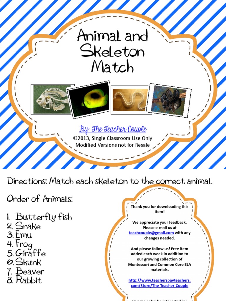 Animal and Skeleton Match: By: The Teacher Couple | PDF