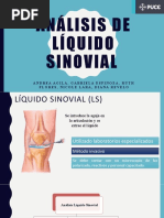 Líquido Sinovial | PDF | Articulación | Especialidades Medicas
