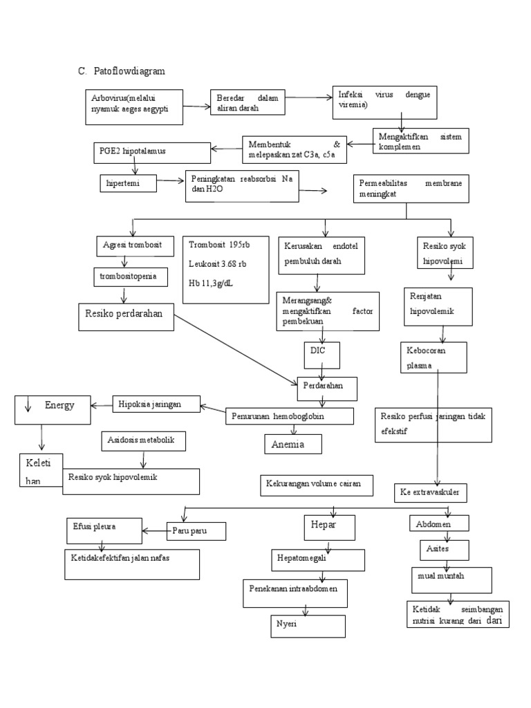 Patoflowdiagram DHF | PDF