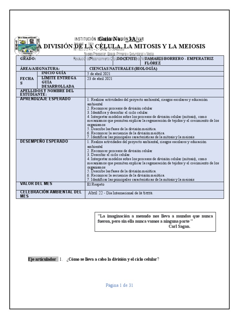 Mitosis y Meiosis: Guía de Biología 7° | PDF | Mitosis | Mitosis