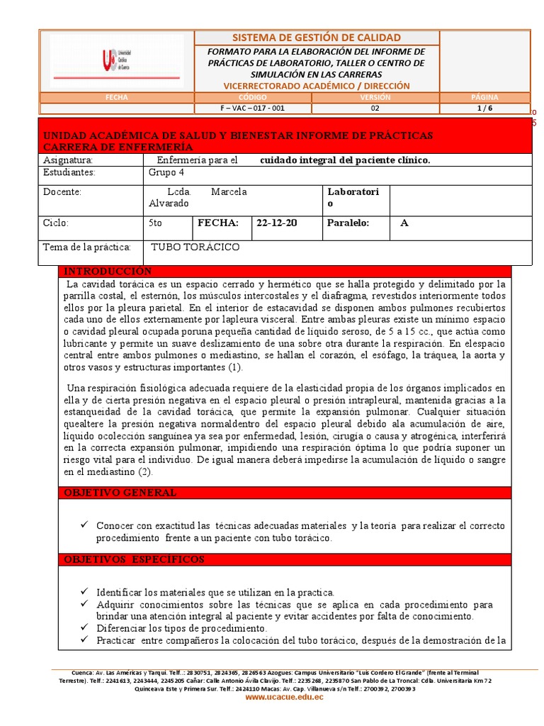 Tubo Toracico | PDF | Pulmón | Tórax (anatomía humana)