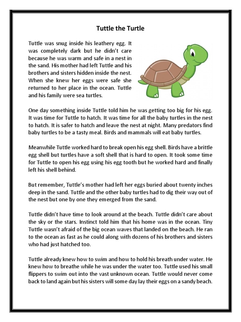 Grade 5 Reading Comprehension (New Set) | PDF | Sharks | Nest