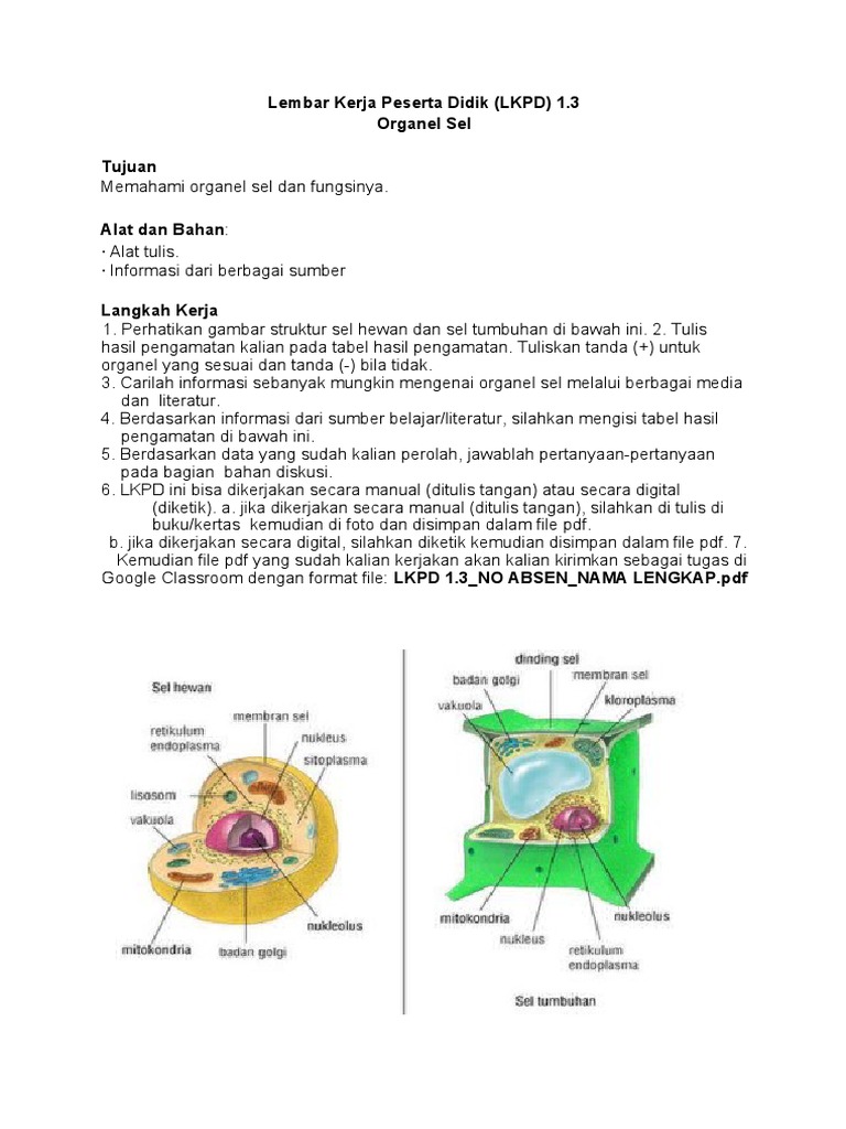 LKPD Organel Sel Kelas 11 | PDF