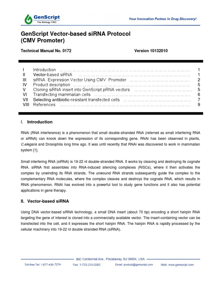 Genscript Vector-Based Sirna Protocol (CMV Promoter) | PDF | Small ...