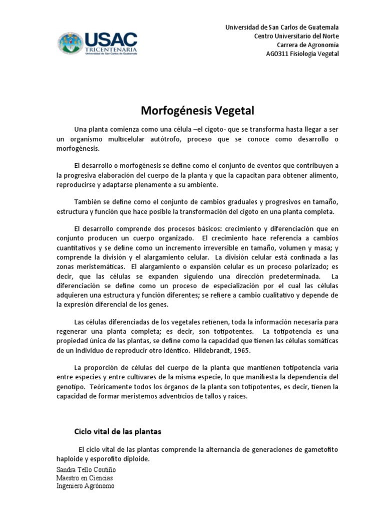 Morfogénesis vegetal: El desarrollo de las plantas desde la célula ...