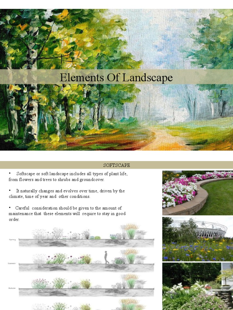 Elements of Landscape | PDF | Shrub | Trees