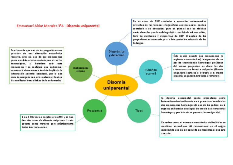 Disomía Uniparental: Diagnóstico y Efectos | PDF | Mutación ...