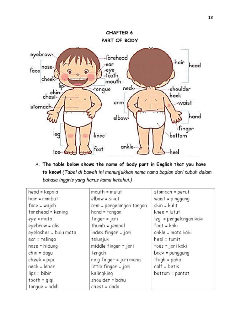 Part of Body: Bahasa Inggris Yang Harus Kamu Ketahui.) | PDF | Human ...
