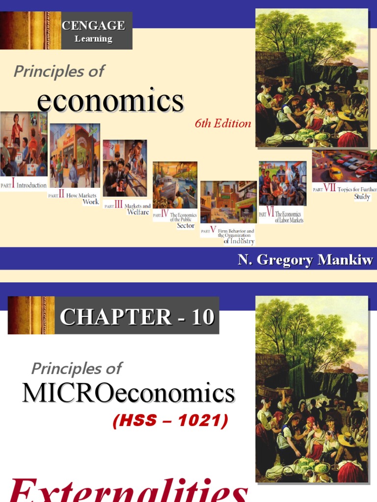 Chapter 10 Externalities - Pps | PDF | Externality | Economic Surplus