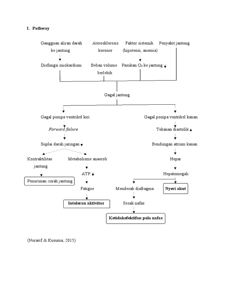 Pathway Gagal Jantung dan Gejalanya | PDF