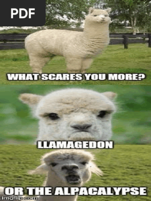 Alpacalypse Meme