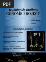 1.history of Taxonomy and Its Importance | PDF | Taxonomy (Biology ...