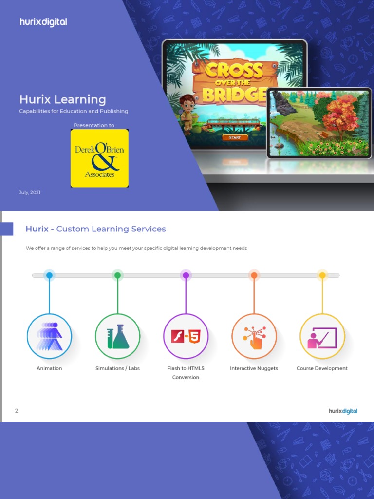 Custom Learning Solutions by Hurix | PDF | Expert | Animation