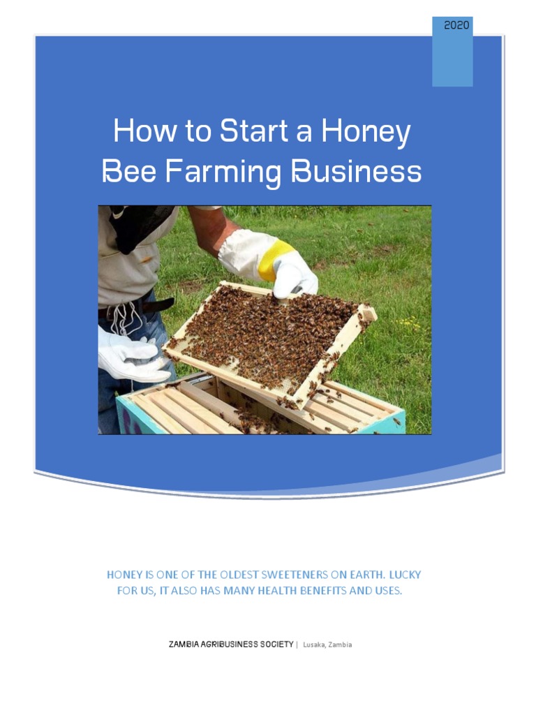How To Start A Honey Bee Farming Business | PDF | Beekeeping | Beehive